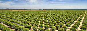 FarmTogether - Invest in US Farmland